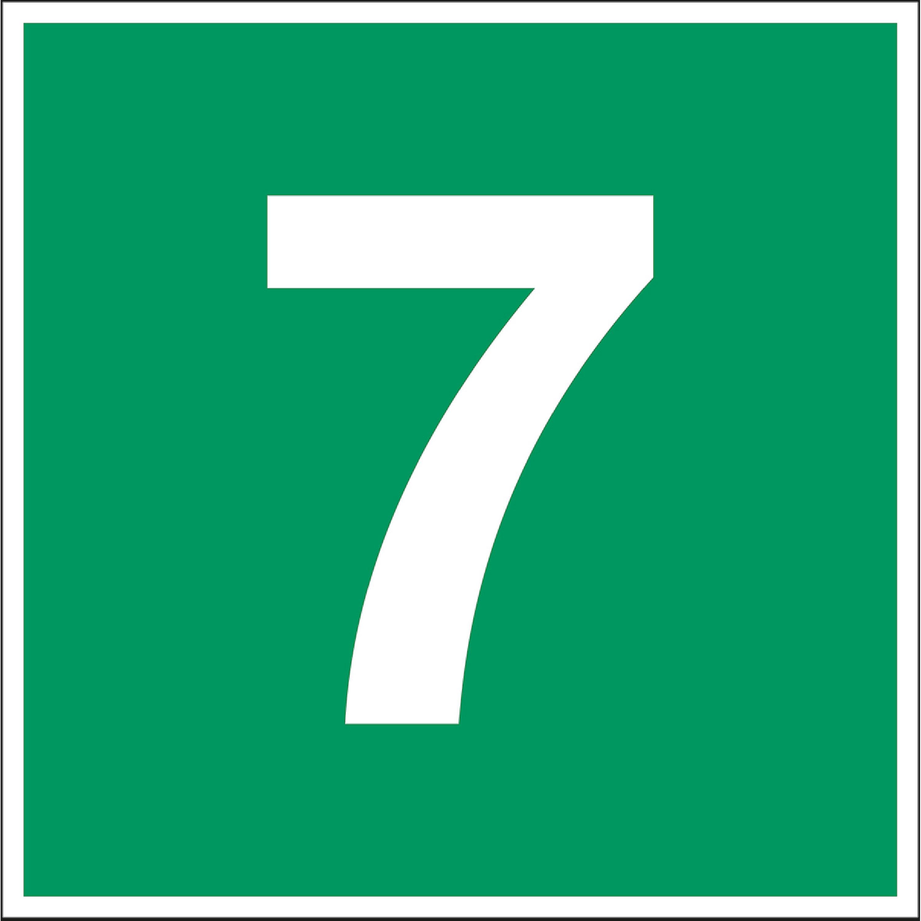 BRADY 222826 pictogramme de secours - indicateur de niveau 7, 200 x 200 mm