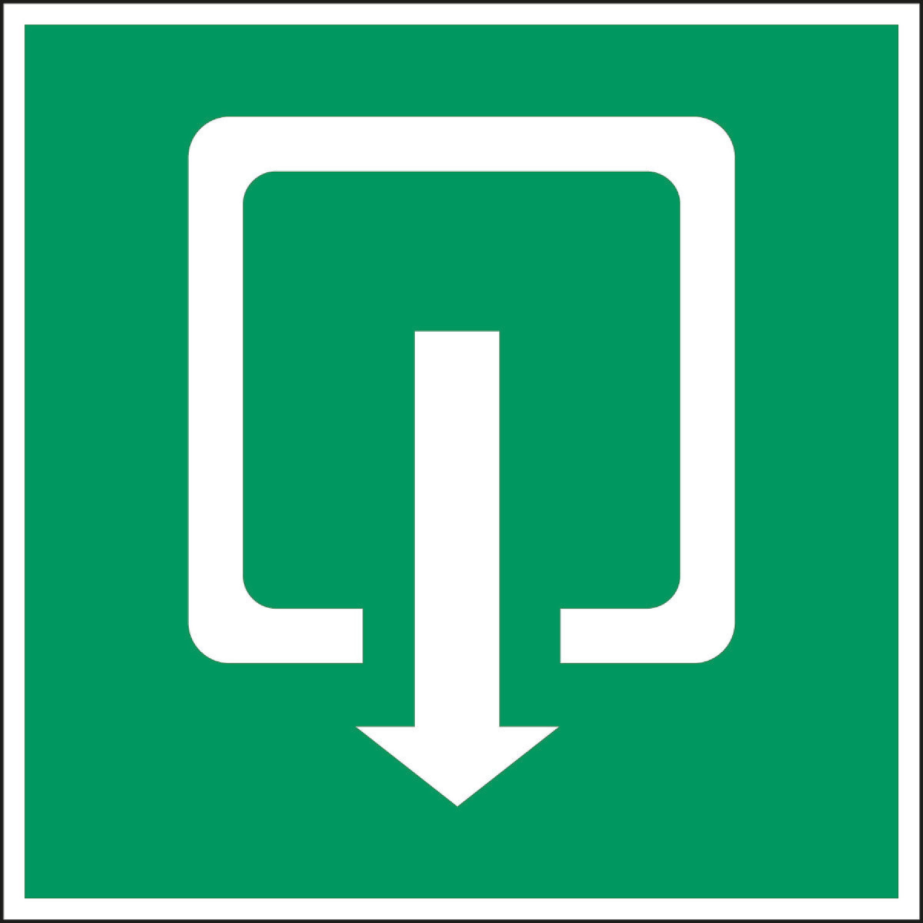 BRADY 252445 pictogramme de secours - sortie servant également d'issue ...