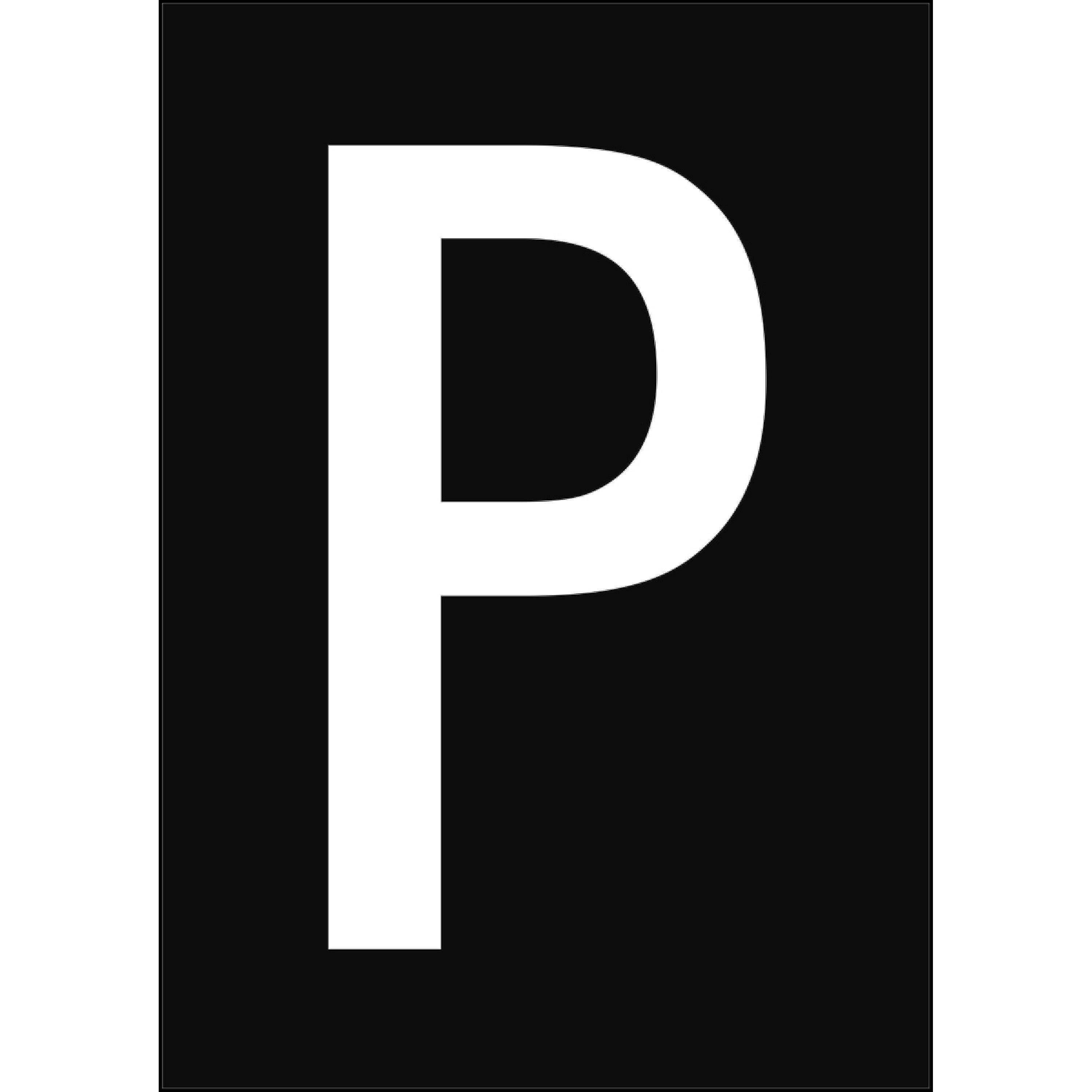 BRADY NL859A4WH-P label met letter P - DIN A4-formaat voor permanente ...